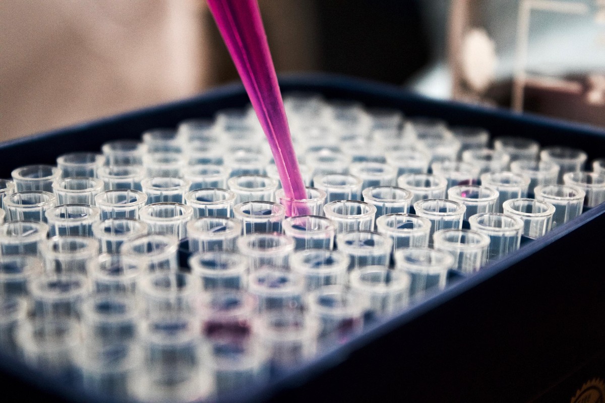 O copo meio cheio das biotechs no Brasil, segundo a Endeavor