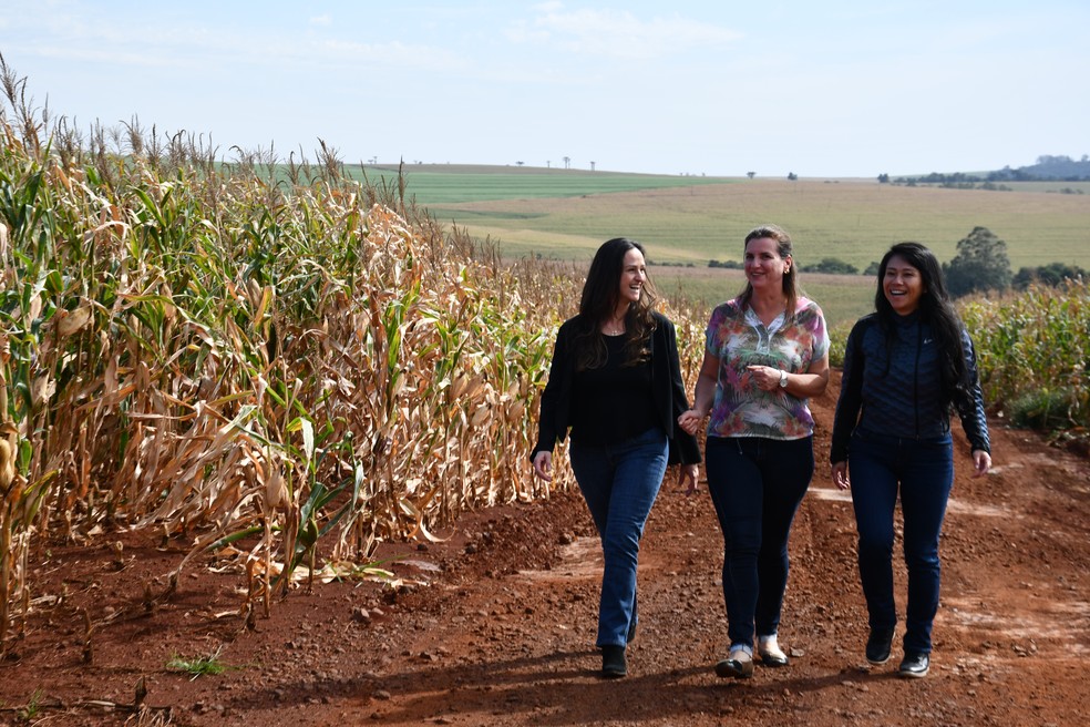 Na Agrolend, um selo social pioneiro no crédito rural