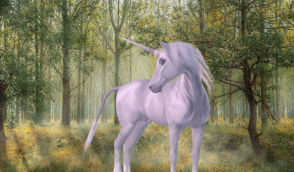 Coreia do Sul desbanca Brasil em número de unicórnios | Startups ...